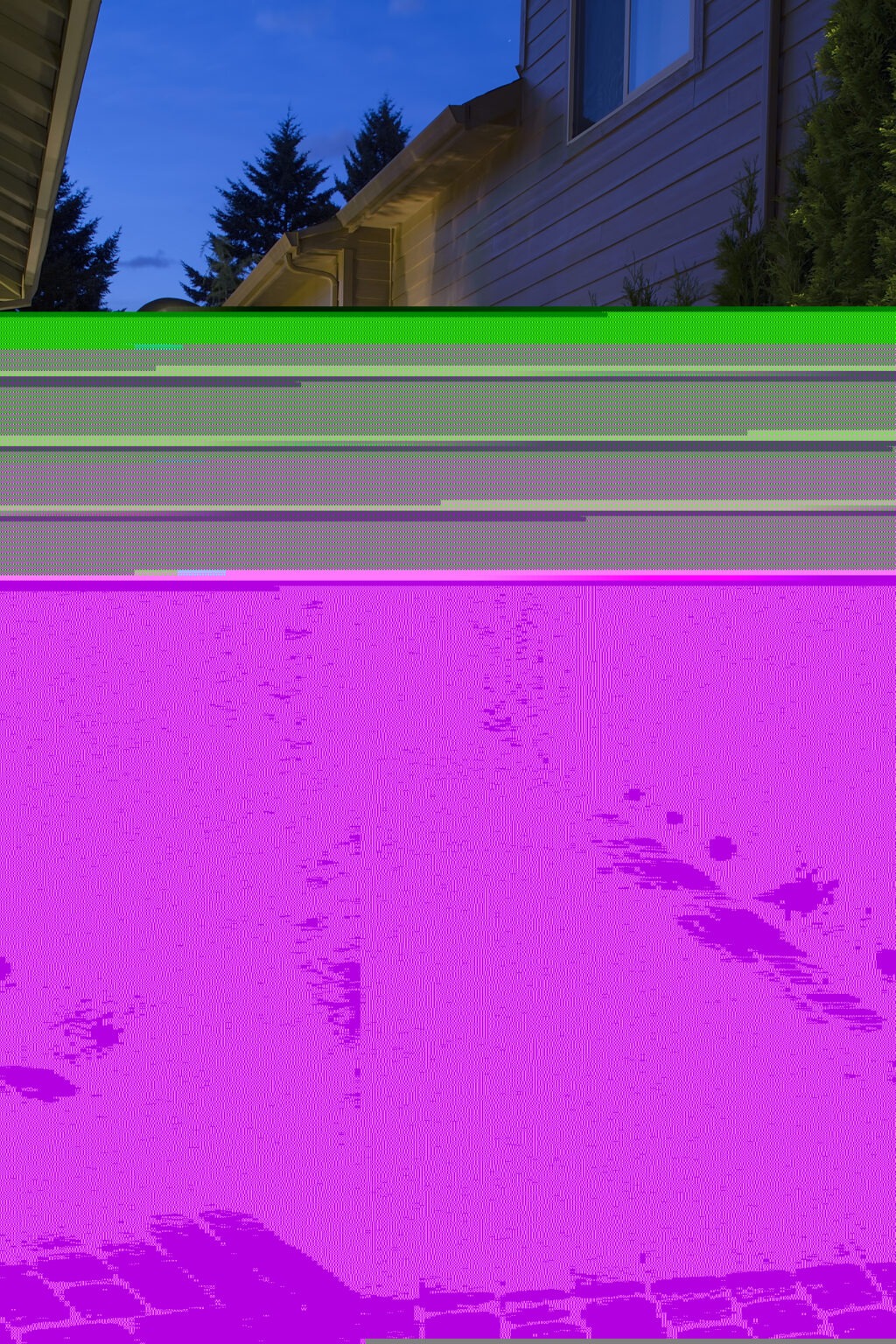 Tips on Spotlight selection for your custom Landscape Lighting | Rocky ...